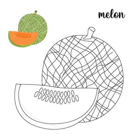 색칠하기 페이지 멜론 색칠하기 프리미엄 벡터