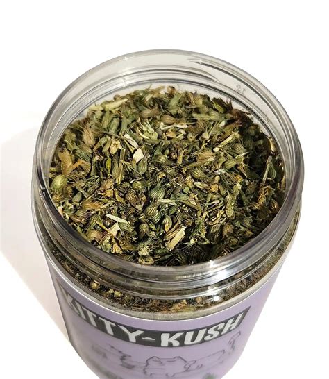 Kitty Kush Catnip