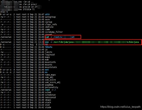 linux 通过端口号获取服务所在目录 linux怎么查看端口用户目录 csdn博客