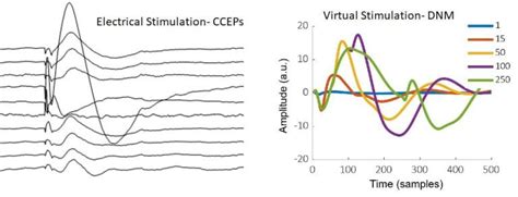 About The Neural Signal Processing And Modeling Lab