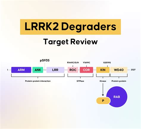 Stat6 A Challenging Target Gains Traction Utilizing Degraders For Th2