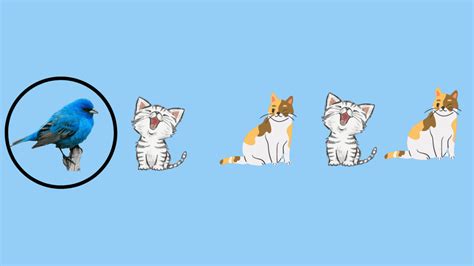 Teknik Deteksi Anomali Leravio