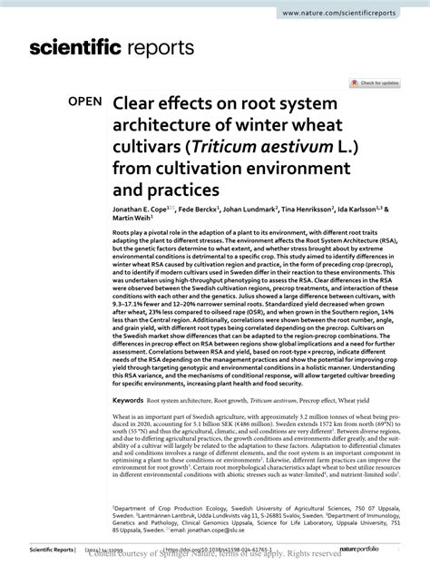 (PDF) Clear effects on root system architecture of winter wheat cultivars (Triticum aestivum L ...