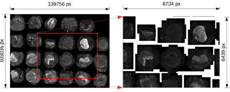Using Libczi Libczi Documentation