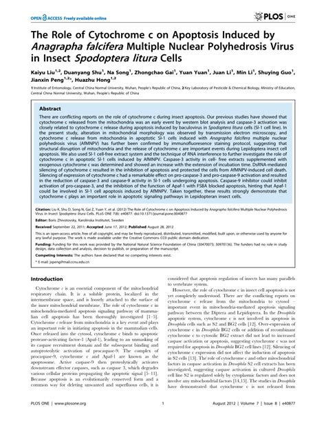 Pdf The Role Of Cytochrome C On Apoptosis Induced By Anagrapha Falcifera Multiple Nuclear