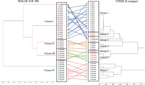 Comparison Of Phylogenetic Trees Obtained From Maldi Tof Ms Spectra Download Scientific Diagram