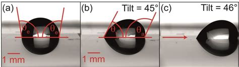 Evolution Of The Dynamic Contact Angles During A Tilting Experiment For Download Scientific