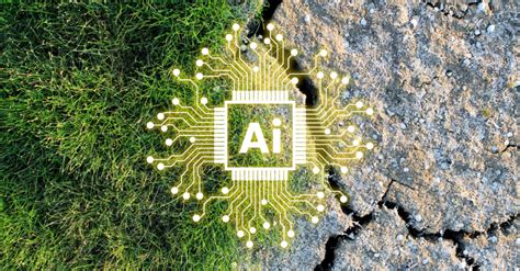 Everyone Must Understand The Environmental Costs Of Ai Oecdai