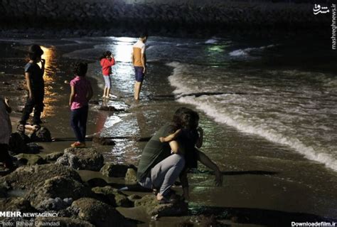 عکس کادر و حاشیه گل