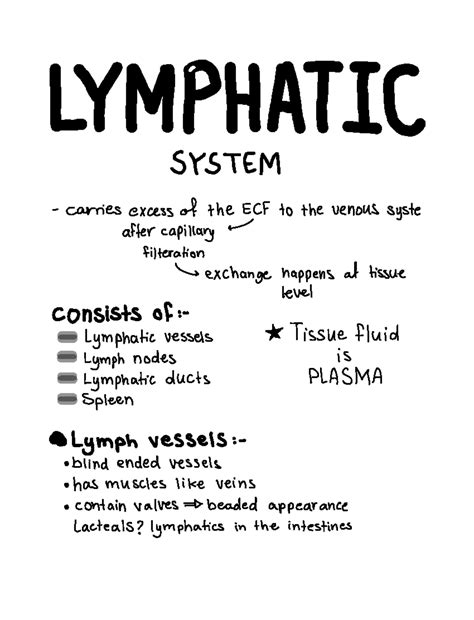 Lymphatic System Notes Bsc 215 Studocu