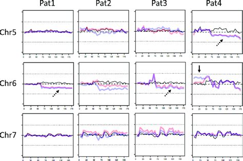 Representative Copy Number Variations Cnv On Chromosomes 5 7 Of