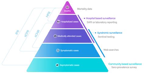 The Burden Pyramid Of Infectious Disease And Epidemiological Severity
