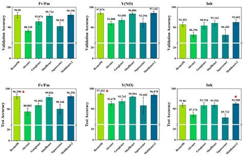 Precision Detection Of Salt Stress In Soybean Seedlings Based On Deep Learning And Chlorophyll