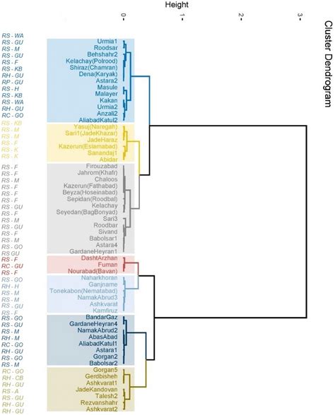 dendrogram for clustering 57 blackberry genotypes assigned to four wild