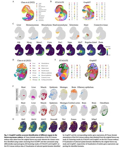 BioDecoded On Twitter Spatially Informed Clustering Integration And Deconvolution Of Spatial