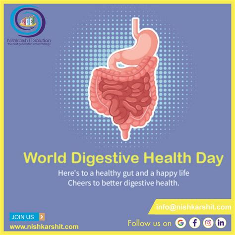 How Healthy Digestive System Is Essential For A Healthy Life