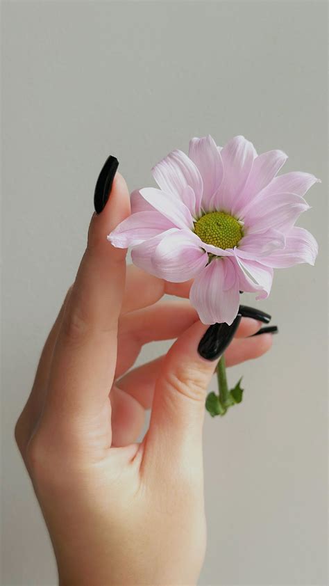 ТАНЯ•ГРАФИЧЕСКИЙ ДИЗАЙНЕР•ЛОГОТИПЫ•НЕЙМИНГ•ФИРМЕННЫЙ СТИЛЬ Каждый день кайфую теперь от