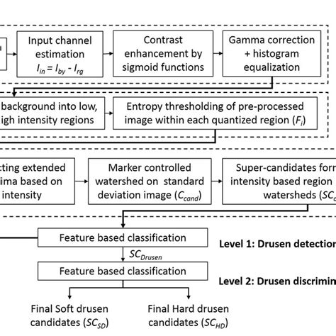flowchart depicting the process of drusen detection and discrimination