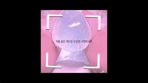 저는 난간에서 떨고있는 멍청이에요 ” Youtube