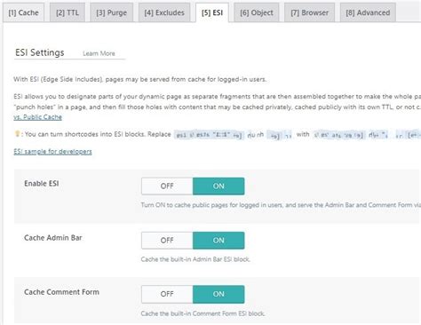 LiteSpeed Cache Configuration A Complete 14 Steps Guide DigiBiscuit