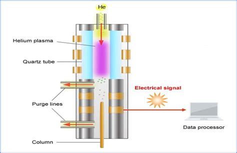 Gas Chromatography Detector Type Of Gc Detectors Pharmasciences