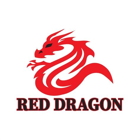 Premium Vector Dragon Logo