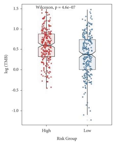 Genomic Mutation Variations Between Model Groups A Rs And Tmb
