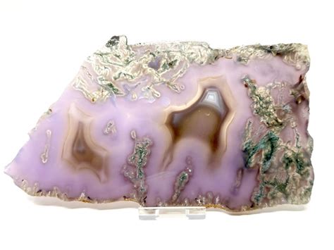 Druzy Purple Moss Agate Slice Tree Agate Crystals For Sale Madagascan Direct
