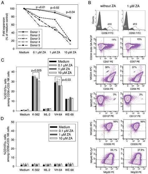 Phenotype And Functionality Of Nk Cell Populations Expanded In The Download Scientific Diagram