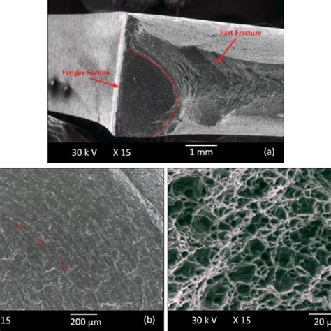 A Fracture Surfaces With B Fatigue And C Fast Fracture Sections Download Scientific Diagram