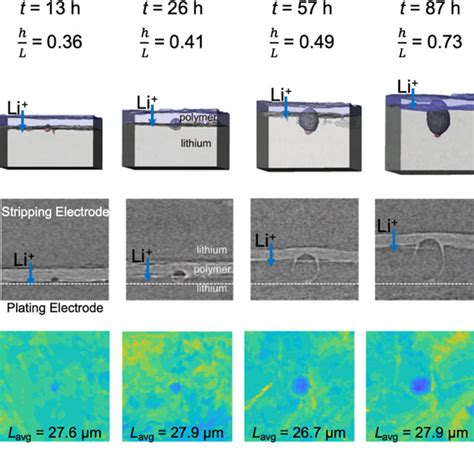 X Ray Tomography Results Of The Lithium Seo Lithium Cell With A Lithium Download Scientific