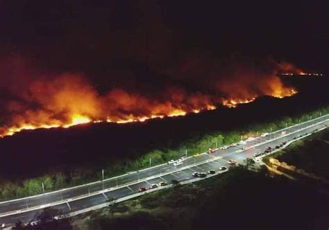 Incendio Consume 200 Hectáreas De área Natural Protegida En Campeche