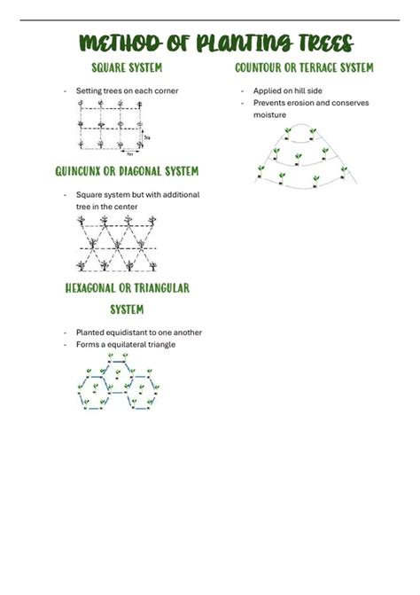 METHODS OF PLANTING TREES TLE Stuvia US