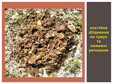 Презентація на тему Вплив людини на літосферу — презентації з географії Gdz4you