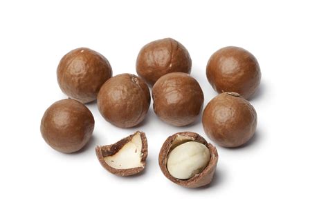 Buy Online Small In Shell Macadamia Nuts For Your Parrots