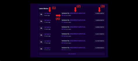 using a blockchain explorer with polygonscan