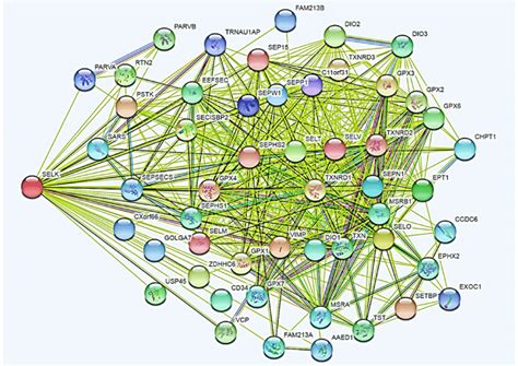 the total amount of first order functional interactions 52