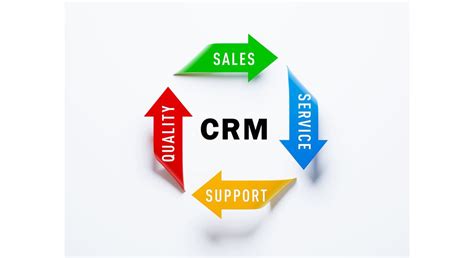 The Best Crm Databases For Your Business A Helpful Guide