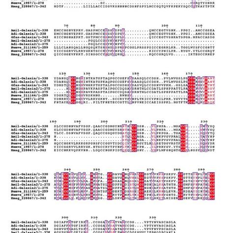 Figure S8 Multiple Sequence Alignment Showing The Sequence