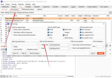 burp suite功能详解——proxy模块 tls pass through csdn博客