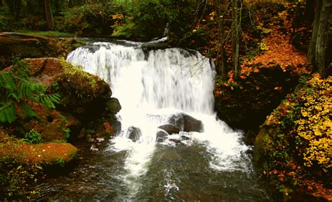 25 Best And Fun Things To Do In Bellingham Wa 2026