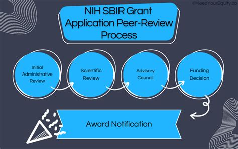 NIH SBIR Grants A Behind The Scenes Look At NIH SBIR Reviewers Scoring Criteria