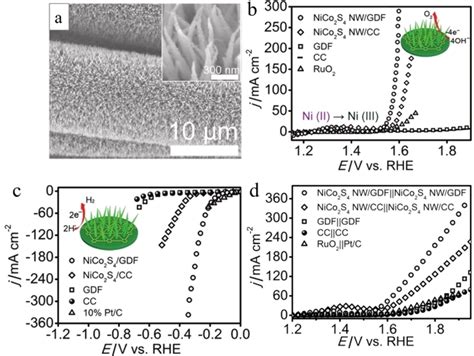 The Morphology Image And Performance Data Diagram Of Nico2s4 Nw Gdf A