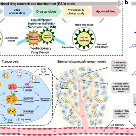 Schematic Illustration Of The Proposed Drug Design Strategy And The Download Scientific Diagram