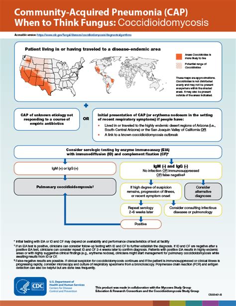 Endemic Algorithms Fungus Education Hub