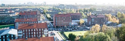 Maya Van Der Steenhoven Posted On Linkedin