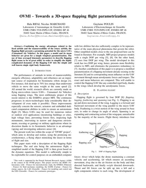 Pdf Ovmi Towards A 3d Space Flapping Flight Parametrization