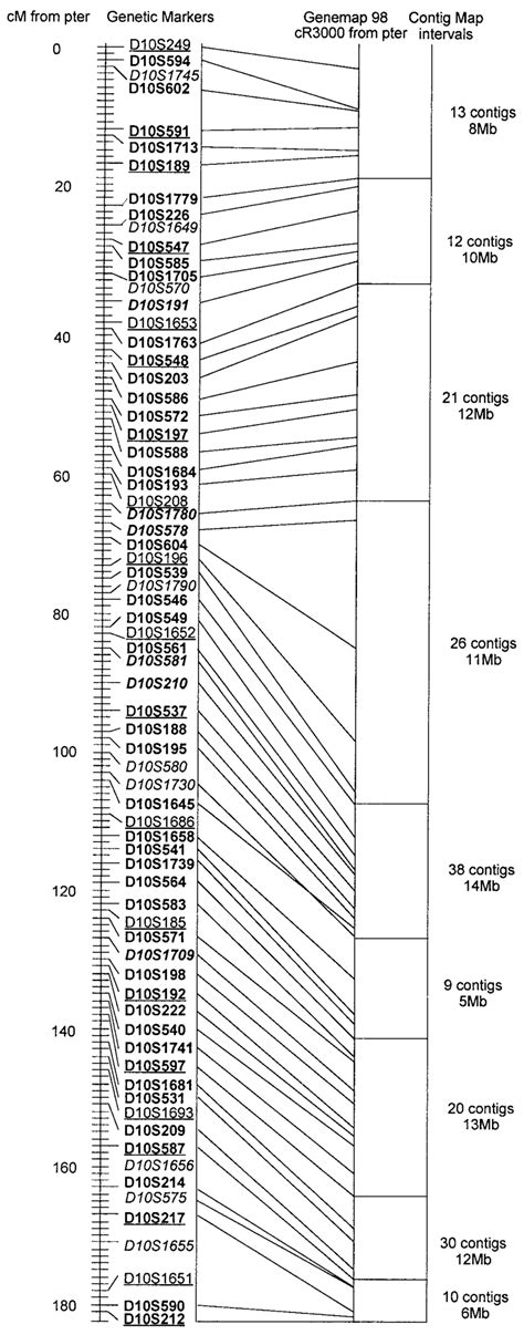 Alignment Of The Genetic Dib Et Al 1996 And Physical Gene Map Download Scientific Diagram
