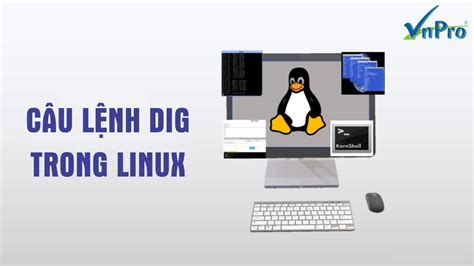 Sử Dụng Dòng Lệnh Dig Trong Linux để Tìm Hiểu Chi Tiết Dns