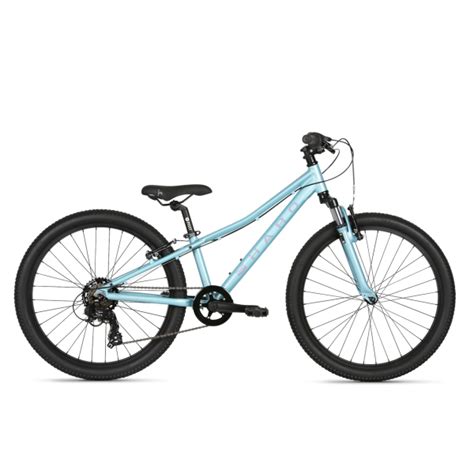 ᐉ Велосипед Haro Flightline 24" Ixia / Purple купити в Україні — Ціна ...